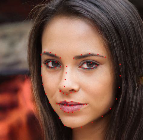 009 How To Detect Facial Landmarks Using Dlib And Opencv