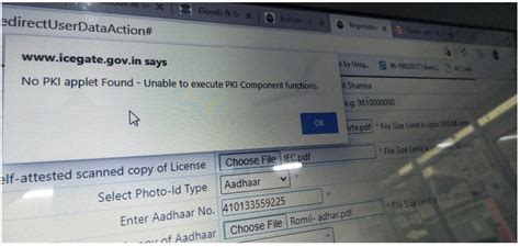 No Pki Applet Found Unable To Execute Pki Component Functions Solutions Icegate