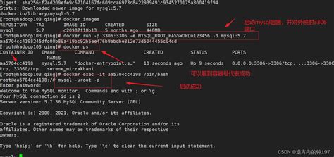 docker安装mysql5 7 开启binlog功能、修改字符 docker安装mysql5 7 26并开启二进制日志文件 csdn博客