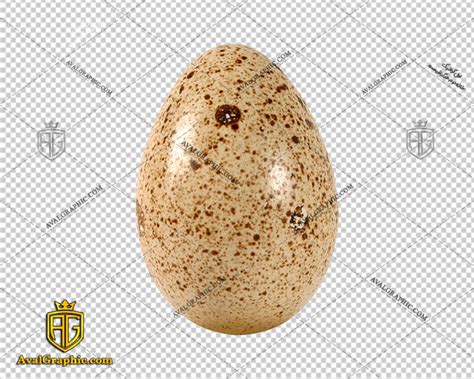 Png تخم بلدرچین