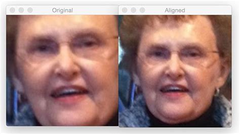 face alignment with opencv and python pyimagesearch
