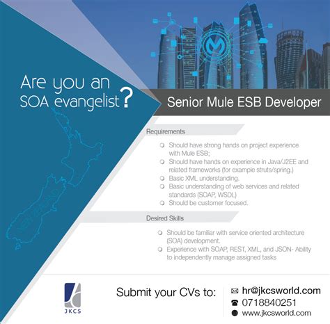 Senior Mule ESB Developer