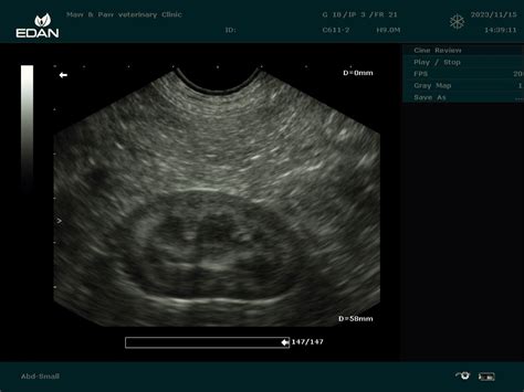 Abdelrahman Mahmoud On Linkedin Nice Shot 😉