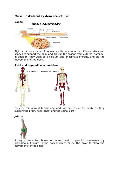 Btec Applied Science Unit 8 Aim B Lymphatic System Unit 8 Physiology Of Human Body Systems