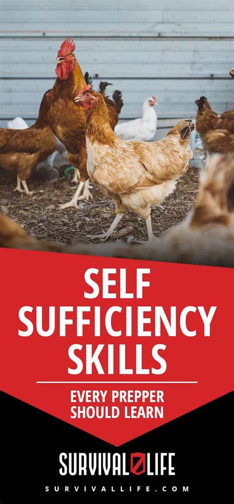 145 Self Sufficiency Skills Every Prepper Should Learn Survival Life