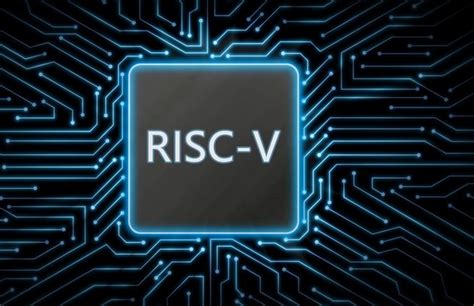 赛道hyper 平头哥的risc V架构征程 华尔街见闻