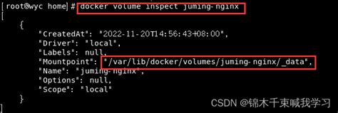 Docker进阶篇之容器数据卷持久化，内含两种数据卷持久化方式docker 数据卷 Ro Rw Csdn博客