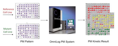 Applications Of Microarray Technology