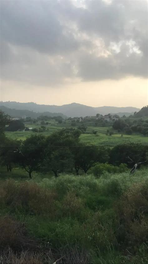 Photo Of Jawad Kamil Mirza