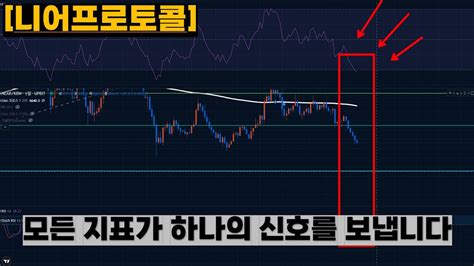 ｢코인｣ 니어프로토콜 폭등직전 마지막 저가매수기회입니다 폭등할 수 밖에 없는 이유 Youtube