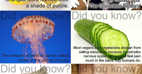 Did You Know Imgur