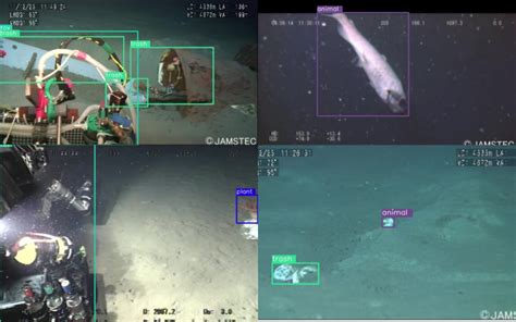 yolov6 custom dataset training underwater trash detection