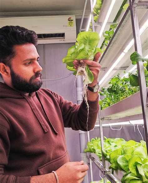 Aditya Pal On Linkedin 🌱 Hydroponic Green Leafy Veggies Fresh