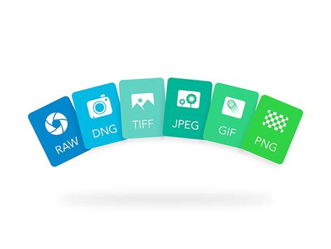 Differences Between Image File Formats RAW DNG TIFF PNG JPEG