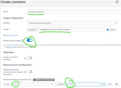 Installing Reactor Under Portainer Reactor Multi Hub Automation