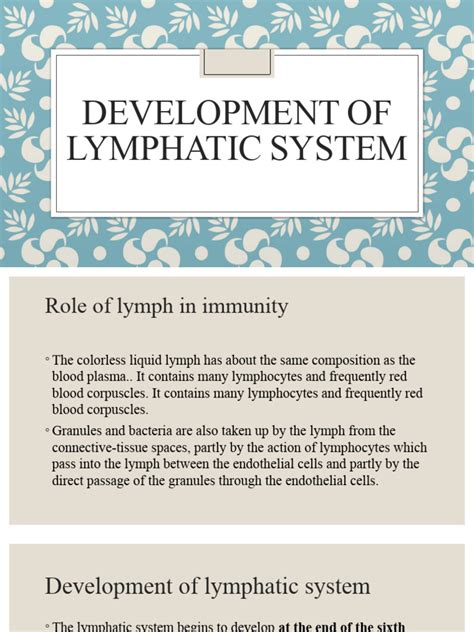 Development Of Lymphatic System Pdf
