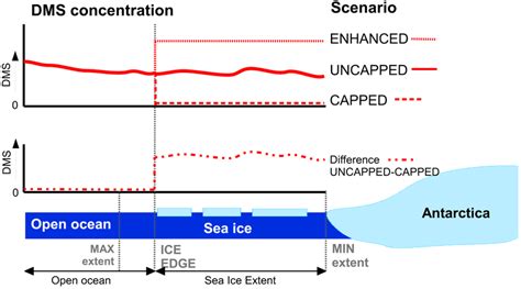 Illustration Of Seawater Dms Concentrations Applied In The Sea Ice Zone Download Scientific