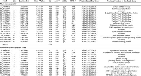 Details Of The Mln Resistance Associated Snp Markers And Their Probable Download Scientific