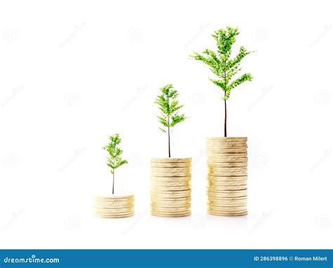 Three Sapling Trees Growing On Ascending Coin Stacks On White Backgroud