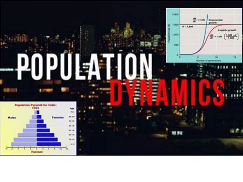 Ppt Population Dynamics Powerpoint Presentation Free Download Id
