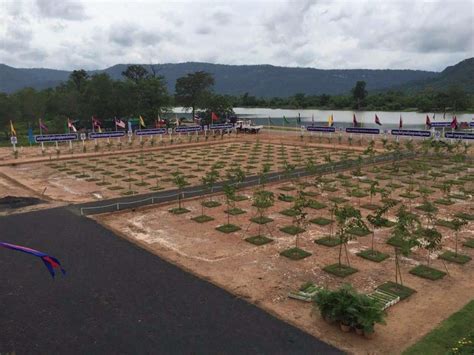 សម្តេច សាយ ឈុំ ជំរុញឲ្យប្រជាពលរដ្ឋ អាជ្ញាធរមូលដ្ឋានរួមគ្នាបង្កើត ធនធានព្រៃឈើឡើងវិញ