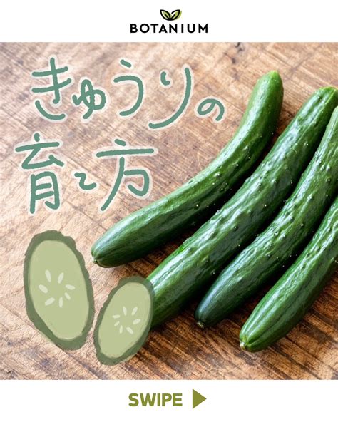 Botanium Japan Botanium Jp 👈🏻気になる詳細をチェック Facebook