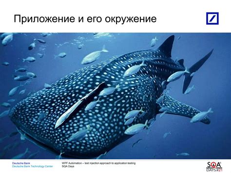 WPF Automation Test Injection Approach To Application Testing PPT