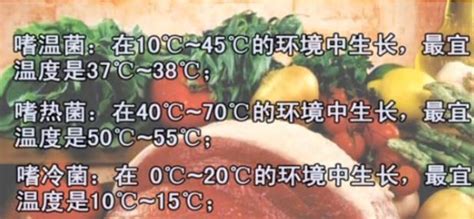 冰箱性腹瀉來襲 如何防範細菌 每日頭條