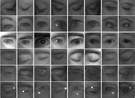 mrl eye dataset mrl