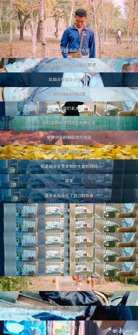 教育本质是：一棵树摇动另一棵树，一朵云推动另一朵云