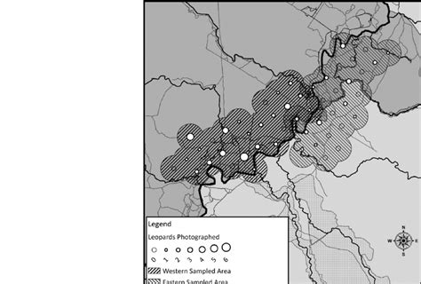 The Distribution Of Leopard Detections Across The Esa And Wsa The Size