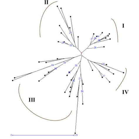 Clustering Of Varieties Based On Darwin Analysis Download Scientific