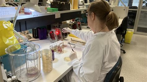 Not Your Average Library Inside Phf Sciences Extraordinary Disease Reference Lab