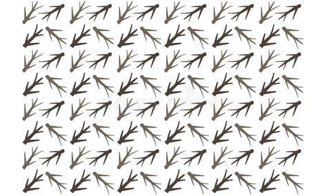 Repeated Pattern Bundle Pack Flowers Leaves Vector Pattern Pattern