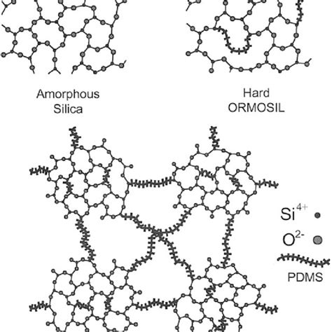 Structure Of Pdms Sio 2 Ormosils Download Scientific Diagram