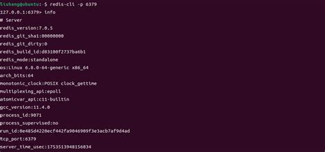 【redis】linux 配置redis 技术栈