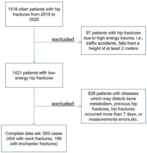 Hip Fracture Types
