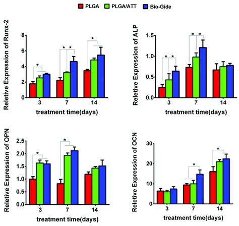 Real Time Pcr Analysis Of Runx 2 Alp Opn And Ocn Mrna Relative
