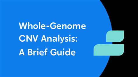 Whole Genome Cnv Analysis A Brief Guide Bionanogenomics