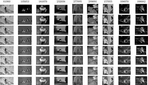 the segmented images were obtained by the proposed algorithm using