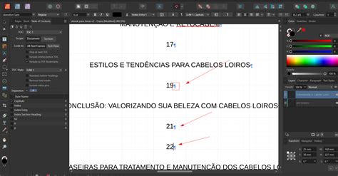 Affinity Publisher Problems With TOC With Long Text Titles And Page Numbers Desktop Questions