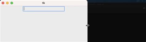 Das Tkinter Entry Widget Mit Video