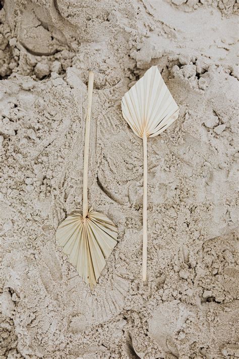 Comment Nettoyer Ses Peignes Et Brosses De Manière Naturelle Astuces