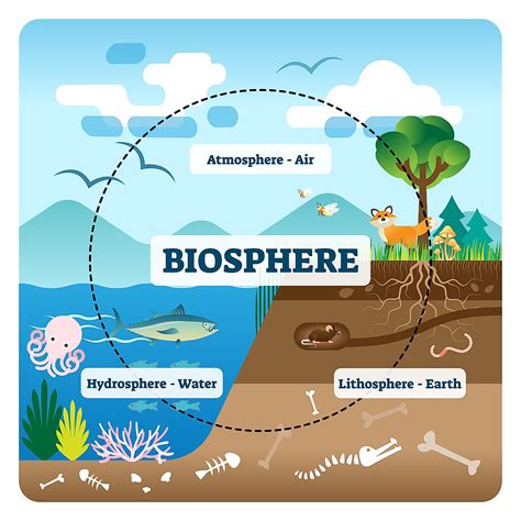 Lithosphere Hydrosphere Atmosphere Biosphere