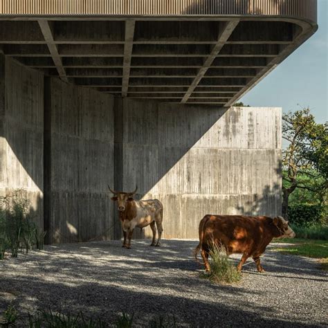 Hugh Strange Architects Dezeen