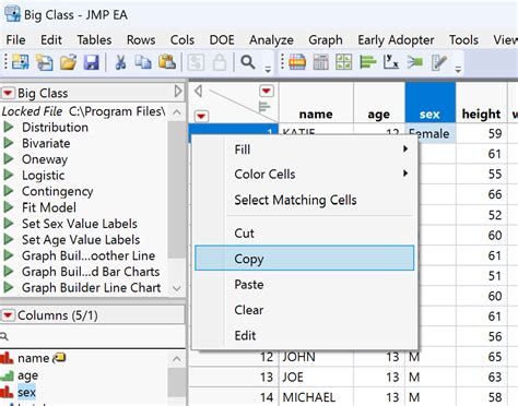 Solved Is It Possible To Edit Matching Cells All At Once Jmp User