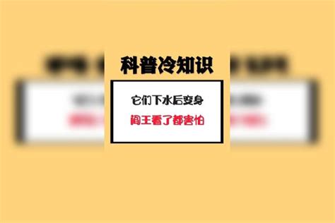 它们下水后变身，阎王看了都害怕阎王下水