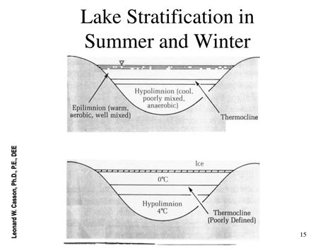 Ppt Aquatic Microbiology Powerpoint Presentation Free Download Id9161613