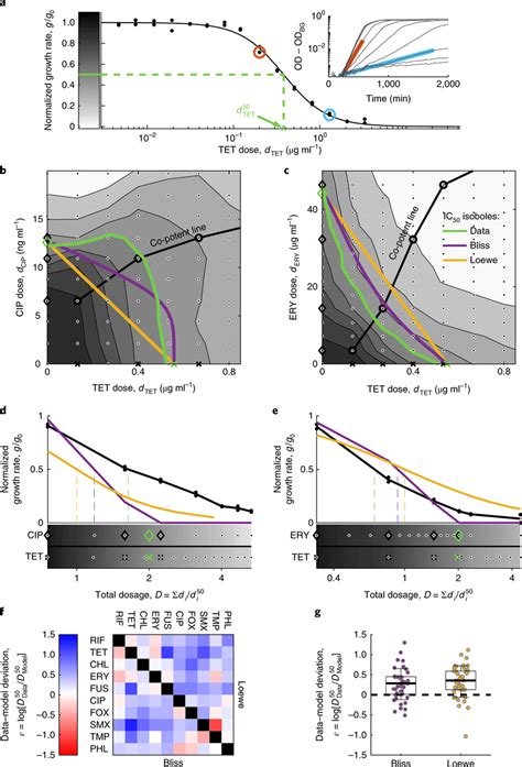 Pairwise Measurements Do Not Resolve The Bliss And Loewe Models Of Download Scientific Diagram