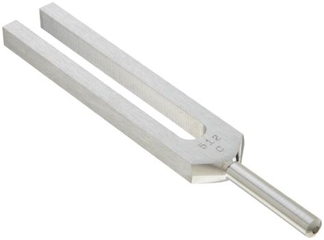 Chogen Chogen No Mi One Piece Ship Of Fools Wiki Fandom